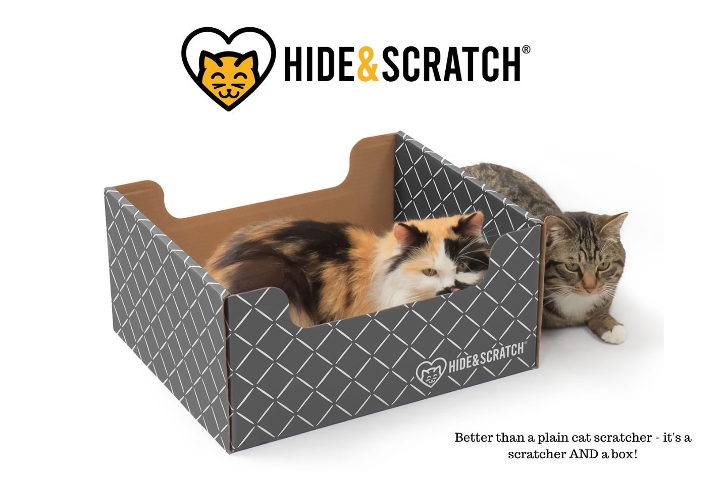 Hide And Scratch The Bob And Sheri Store